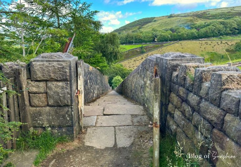Butterley Reservoir Circular Walk Marsden: 210 Steps, Mill Views & 6km ...