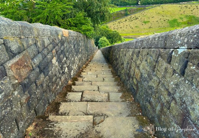Butterley Reservoir Circular Walk Marsden: 210 Steps, Mill Views & 6km ...