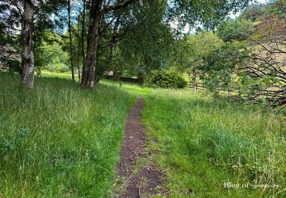 Butterley Reservoir Circular Walk Marsden: 210 Steps, Mill Views & 6km ...